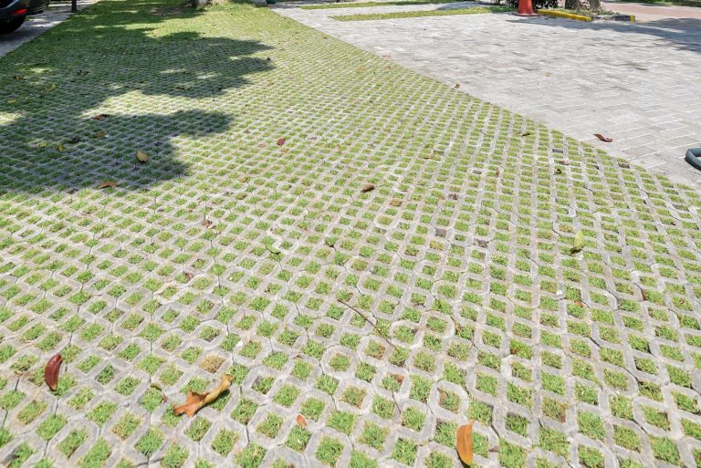 SMS Holdings (Pvt) Ltd | Sri Lanka’s Leading Paving Bricks Manufacturer